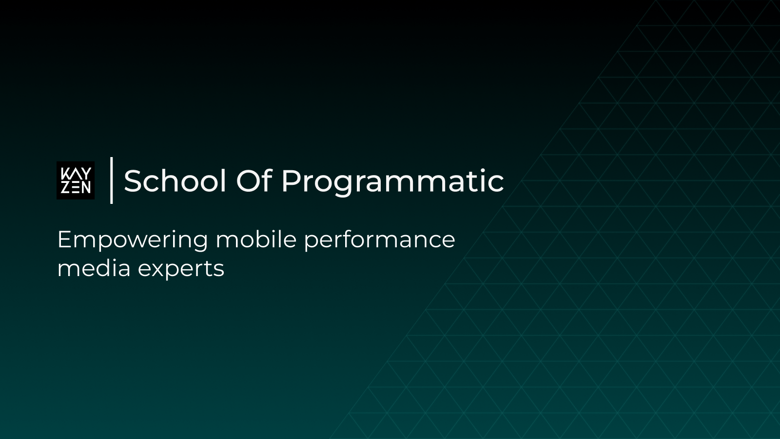 School of Programmatic - Kayzen
